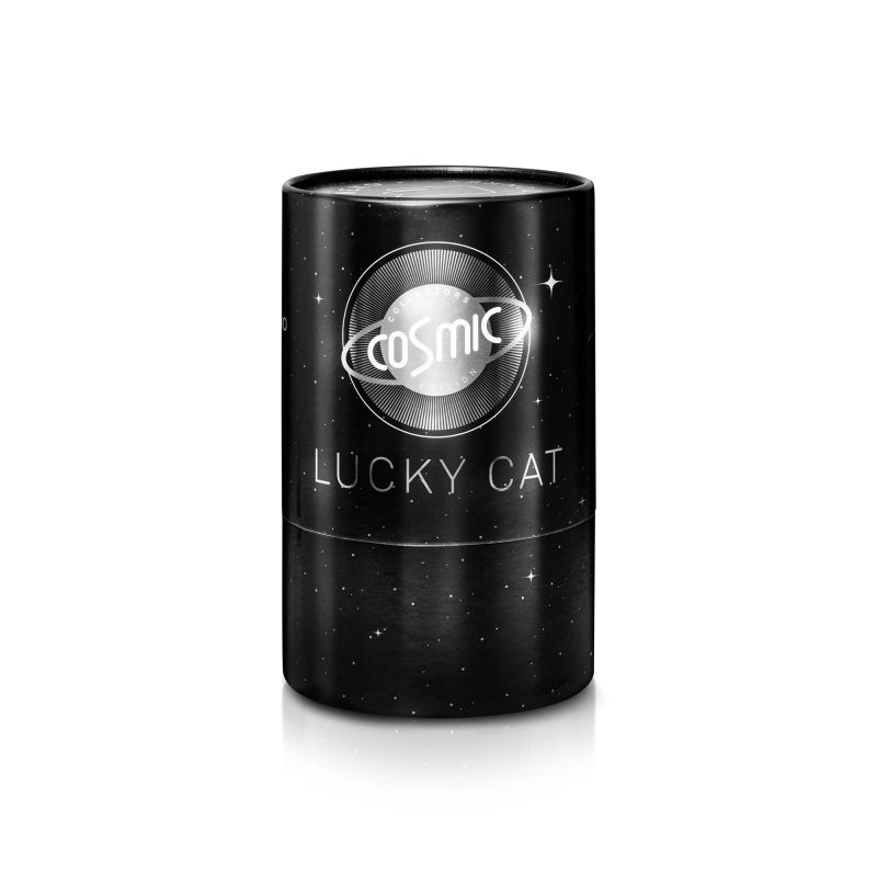 Winkekatze / Maneki Neko | Cosmic Edition - Mercury Shiny Silver